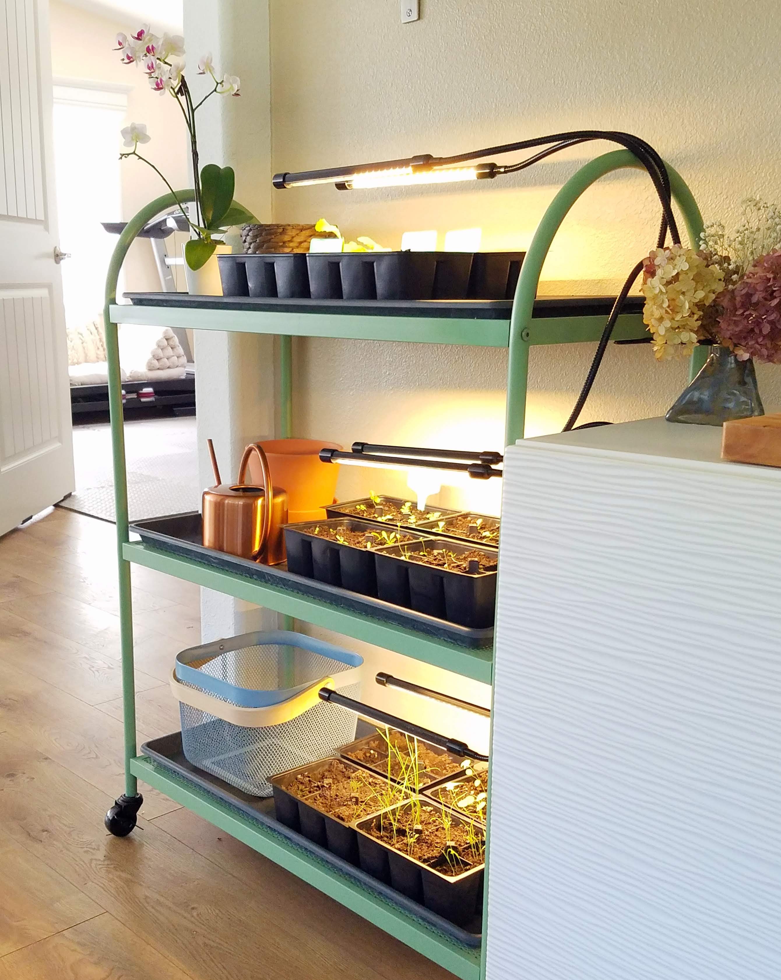 Starting Seeds Indoors – The Artful Roost