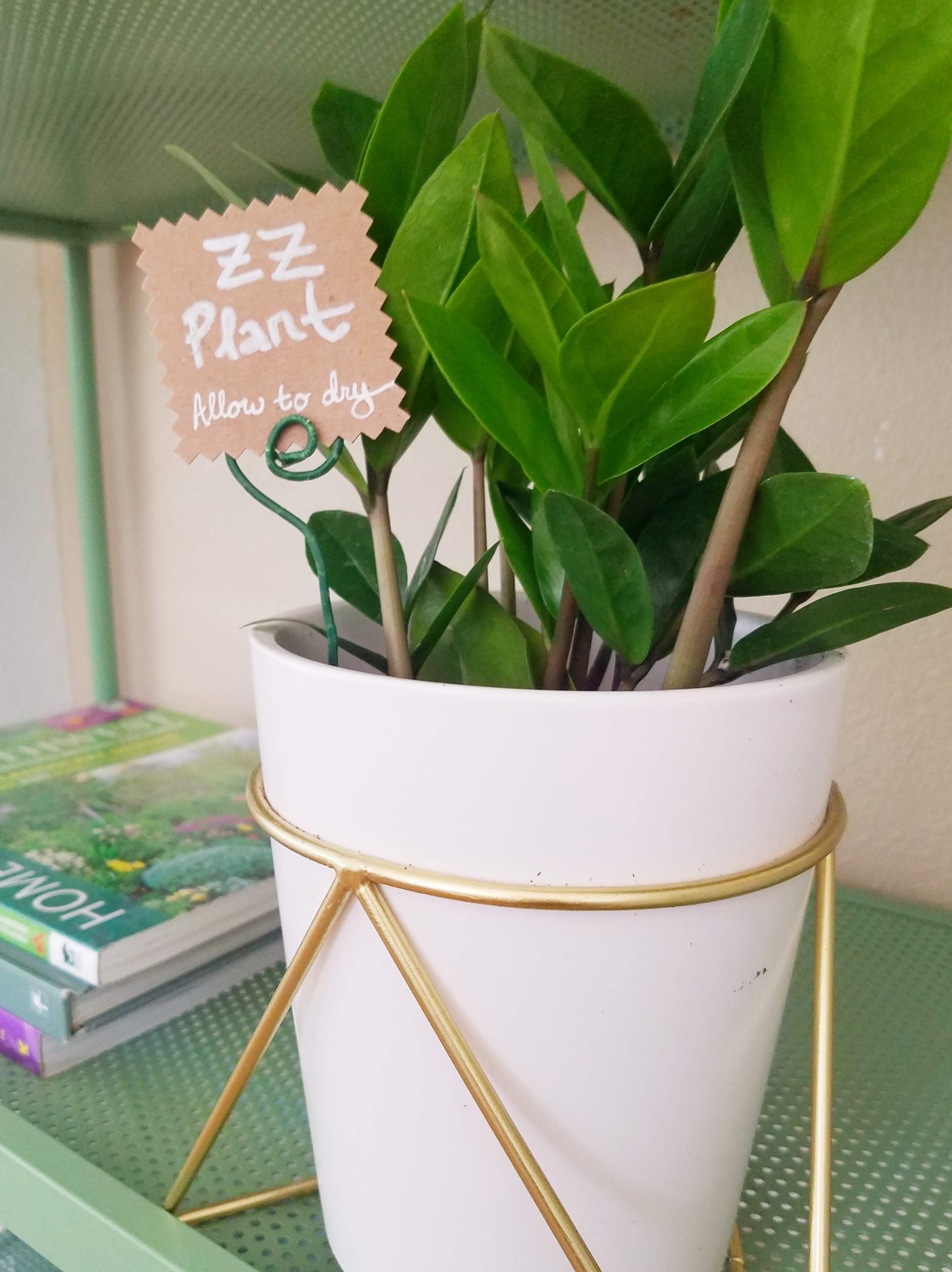 Houseplant Label Cards – The Artful Roost
